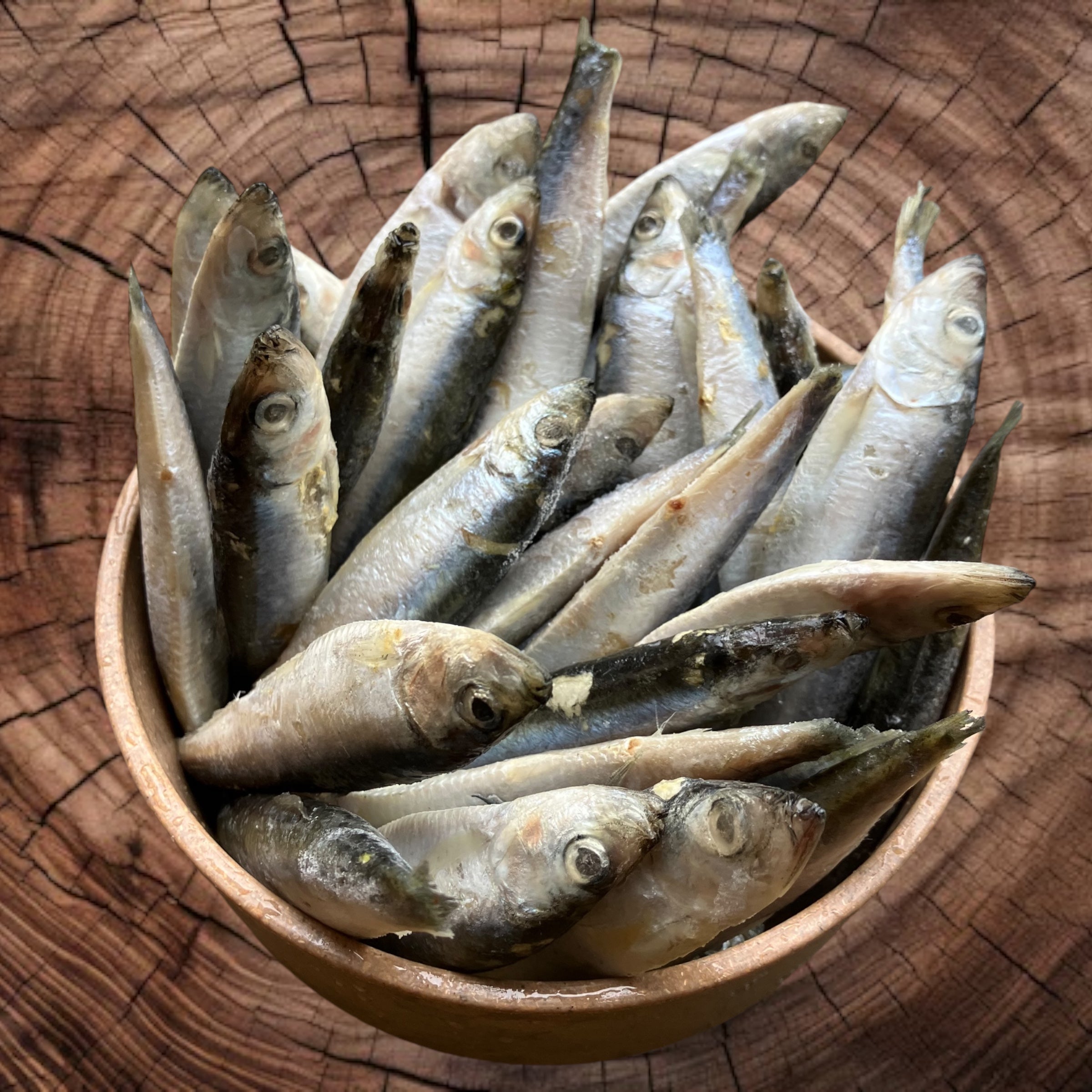 Frozen Sprats 1kg – Riker’s Raw and Natural Pet Food