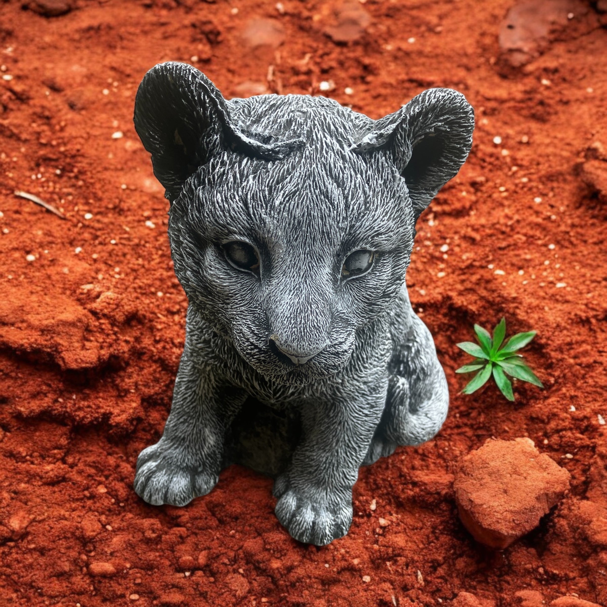 Concrete lion Cub Statue £10 – Riker’s Raw and Natural Pet Food