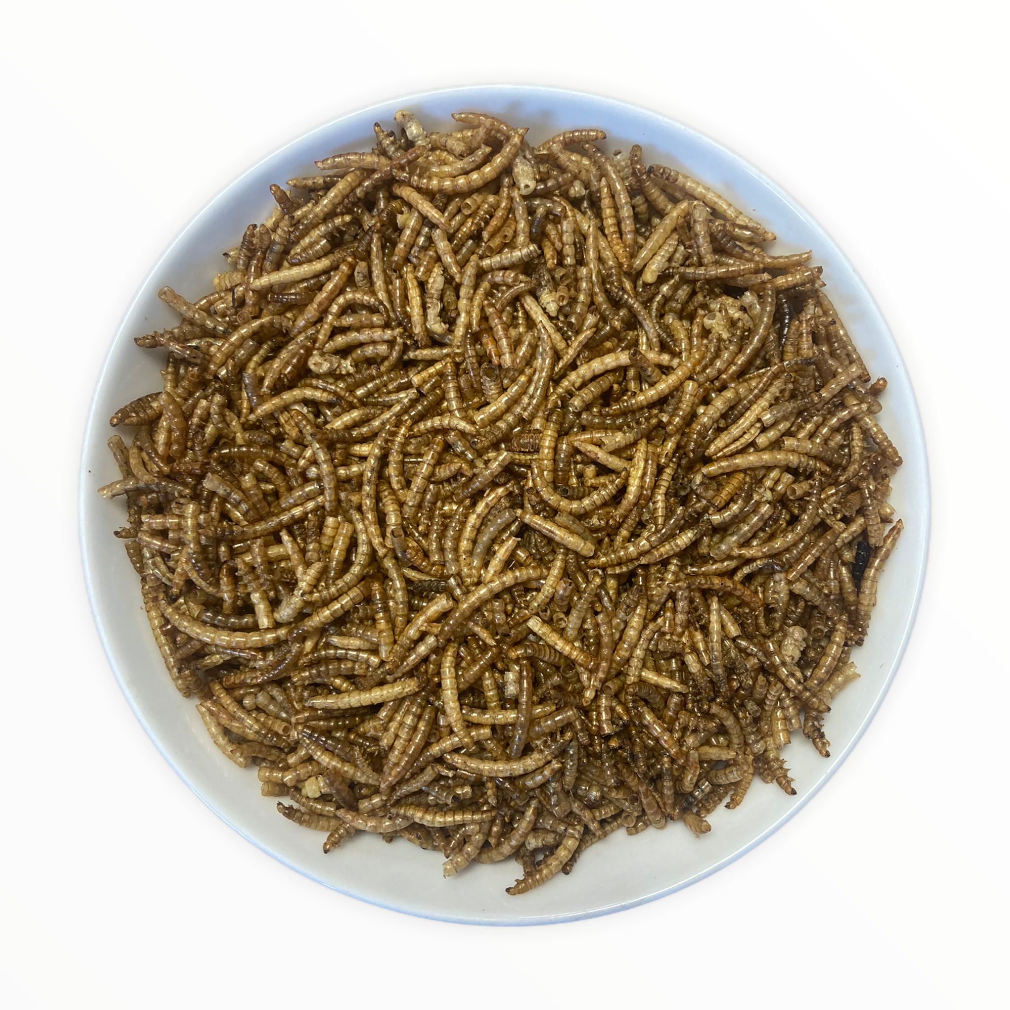 Meal Worms: 500g, 5kg & 15kg – Riker’s Raw and Natural Pet Food